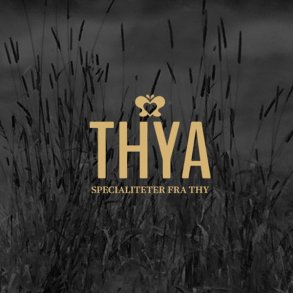 THY produkter | Lækkerier fra THYA, Chokoladekurven, Thy Økobær, Cold ...